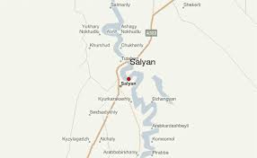 英和画像辞典：(salyan)の関連画像一覧！ – おもしろい英文法