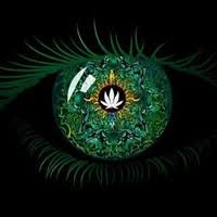 David Dulin email address & phone number | Wood Groovers INC Carpenter ...