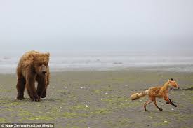 英和画像辞典：(managed to bear)の関連画像一覧！