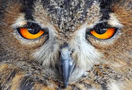 Quantum eMotion Corp (QNC) Stock Price & News - Google Finance