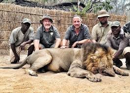 The Heartwarming Story of Alex Larenty and the Lions: A Tale of ...