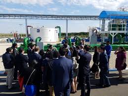 Kyle Chen email address & phone number | Roche Senior Manager of Pharma ...