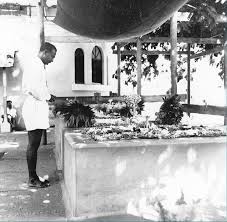 英和画像辞典：(hind part)の関連画像一覧！ – おもしろい英文法