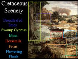 英和画像辞典：(cretaceous period)の関連画像一覧！