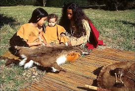 Natural Resources of the Three fires | Create WebQuest