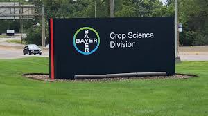 Bayer AG (BAYN) Stock Price & News - Google Finance