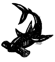 Sharks, Sharks, Sharks! | Create WebQuest