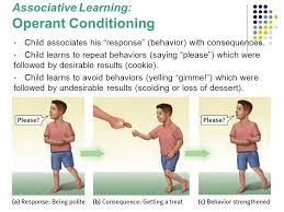英和画像辞典：(repeat behavior)の関連画像一覧！
