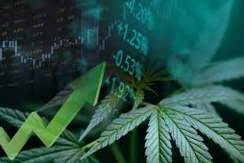 Aurora Cannabis Inc (ACB) Stock Price & News - Google Finance
