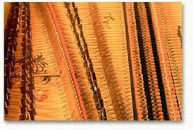 英和画像辞典：(quill plectrum)の関連画像一覧！ – おもしろい英文法