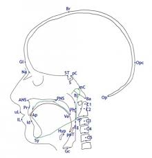 英和画像辞典：(basion)の関連画像一覧！ – おもしろい英文法