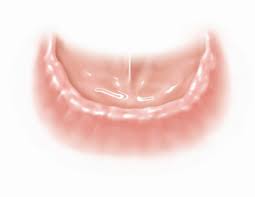 英和画像辞典：(toothless gum)の関連画像一覧！