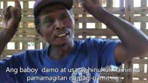 英和画像辞典：(akeanon or aklanon, a language spoken by native people of the ...