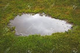 英和画像辞典：(puddle)の関連画像一覧！ – おもしろい英文法