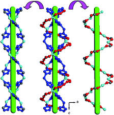 英和画像辞典：(single helix)の関連画像一覧！ – おもしろい英文法