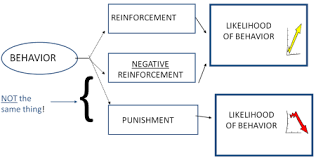 英和画像辞典：(repeat behavior)の関連画像一覧！