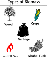 How does Biomass Generate Energy! | renewablebiomassblog