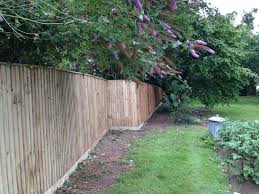 英和画像辞典：(ecologicals)の関連画像一覧！