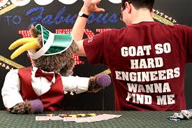 Worcester Polytechnic Institute at emaze Presentation