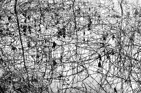 英和画像辞典：(complexicity)の関連画像一覧！