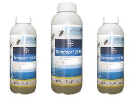 英和画像辞典：(termidor)の関連画像一覧！