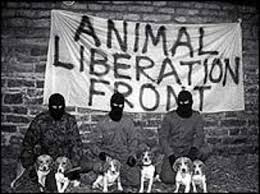 英和画像辞典：(liberation front)の関連画像一覧！