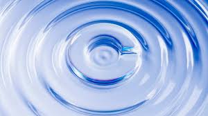 Coinbase Global Inc (COIN) Stock Price & News - Google Finance