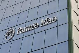 Federal National Mortgage Association 8.25% Pref Shs Series T (FNMAT ...