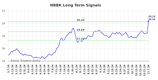NB Bancorp Inc (NBBK) Stock Price & News - Google Finance