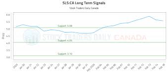Solaris Resources Inc (SLS) Stock Price & News - Google Finance