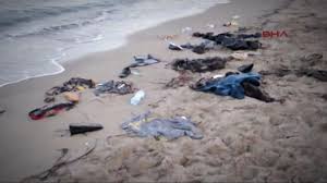 英和画像辞典：(ashore)の関連画像一覧！