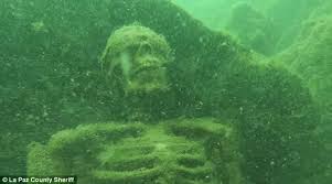 英和画像辞典：(diver corpse)の関連画像一覧！