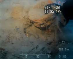 英和画像辞典：(diver corpse)の関連画像一覧！