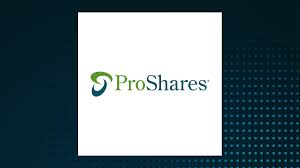 ProShares Short S&P500 ETF (SH) Price & News - Google Finance