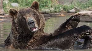 Bexil Investment Trust (BXSY) Price & News - Google Finance