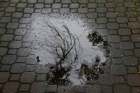 英和画像辞典：(puddle)の関連画像一覧！ – おもしろい英文法