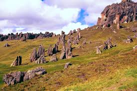 "LAS SIETE MARAVILLAS DEL PERÚ": BOSQUE DE PIEDRA DE HUAYLLAY ( Pasco )
