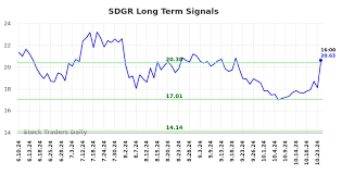 Schrodinger Inc (SDGR) Stock Price & News - Google Finance