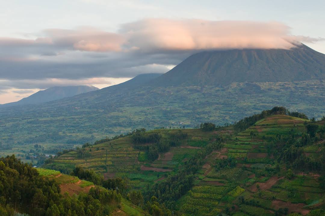 Find Cheap Flights to Rwanda - Google Flights