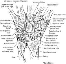 英和画像辞典：(from the hand)の関連画像一覧！ – おもしろい英文法